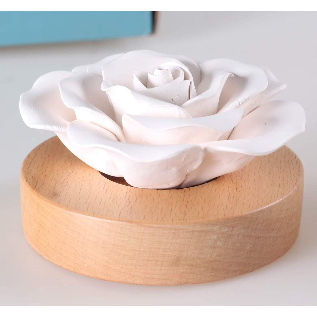 🇸🇬SG Seller>Passive Flower Diffuser with Solid Wood Base – Nature Therapy